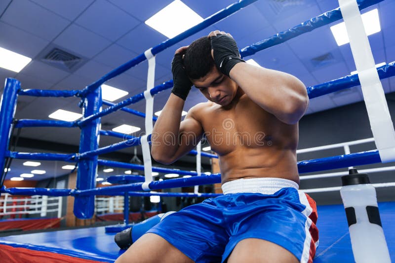 Boxer resting in gym stock photo. Image of ring, sitting - 67150706