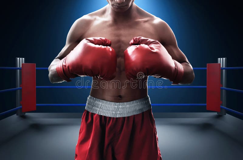 Boxer on the Ring, Sport Themes Stock Image - Image of person, male ...