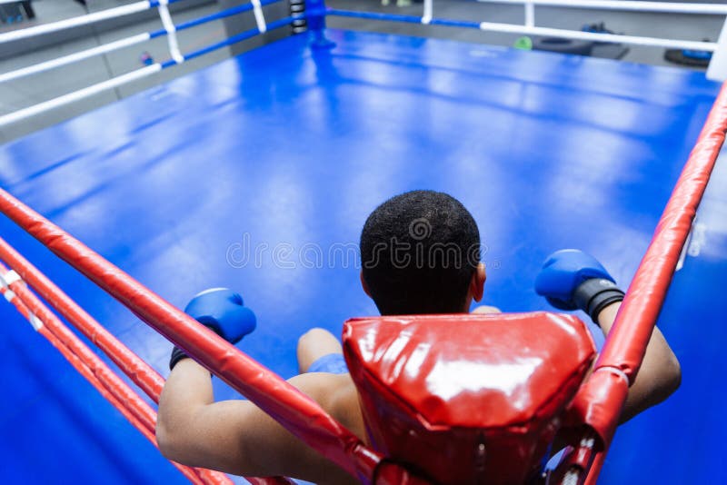 Boxer Sitting in the Corner of Boxing Ring Stock Image - Image of ...