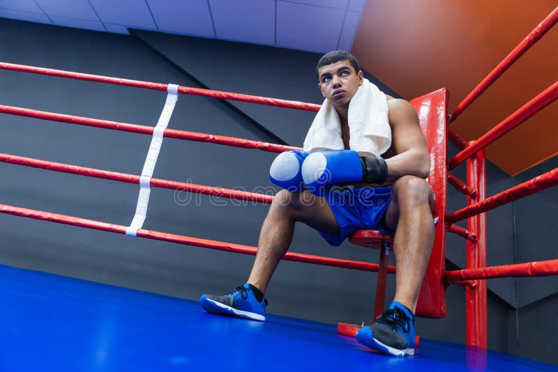 Boxer Sitting in the Corner of Boxing Ring Stock Image - Image of ...