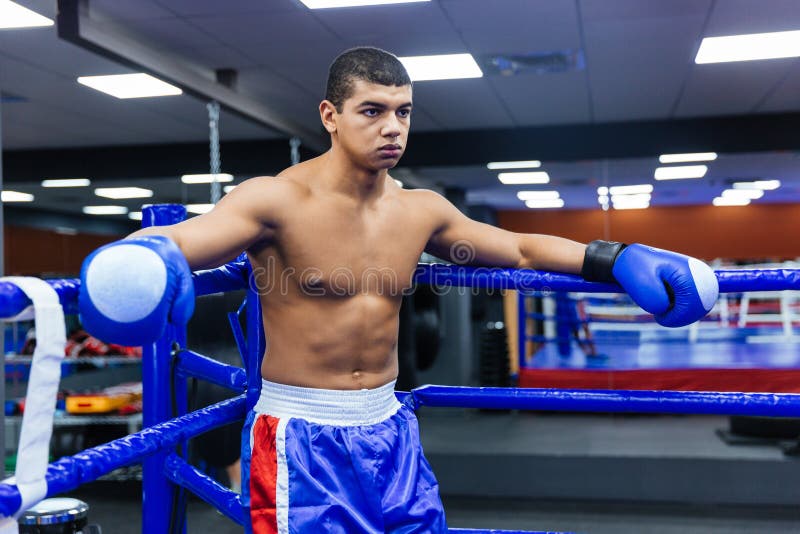 Boxer Standing in Boxing Ring Stock Photo - Image of horizontal ...