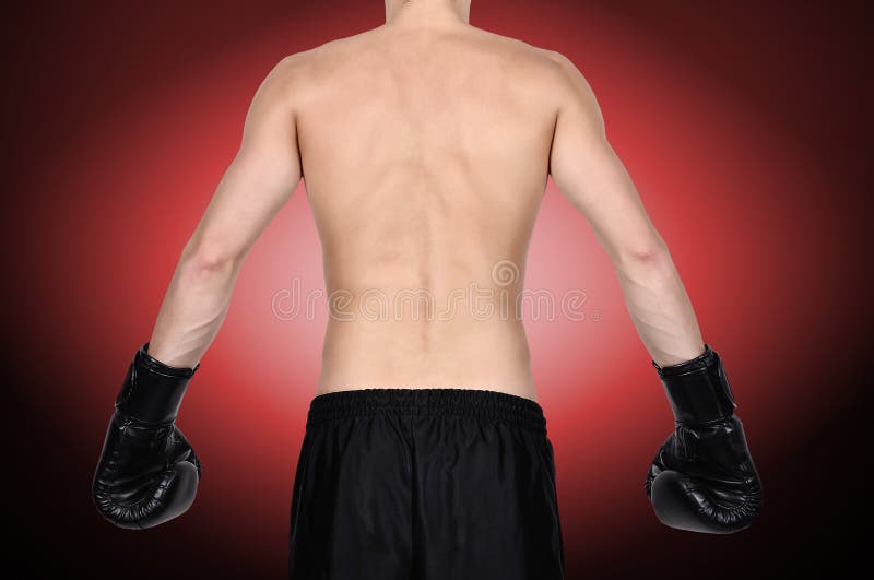155 Boxer His Back Stock Photos - Free & Royalty-Free Stock Photos from ...