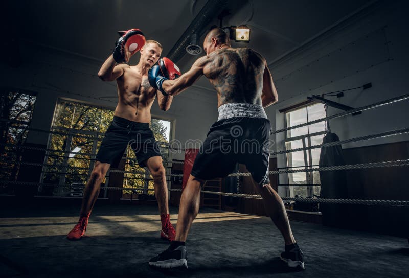 Two Sportive Men Have a Boxing Competition on the Ring Stock Photo ...