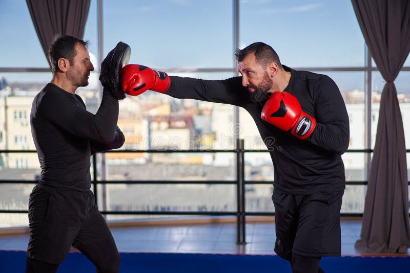Boxer training with coach stock photo. Image of partners - 173932002
