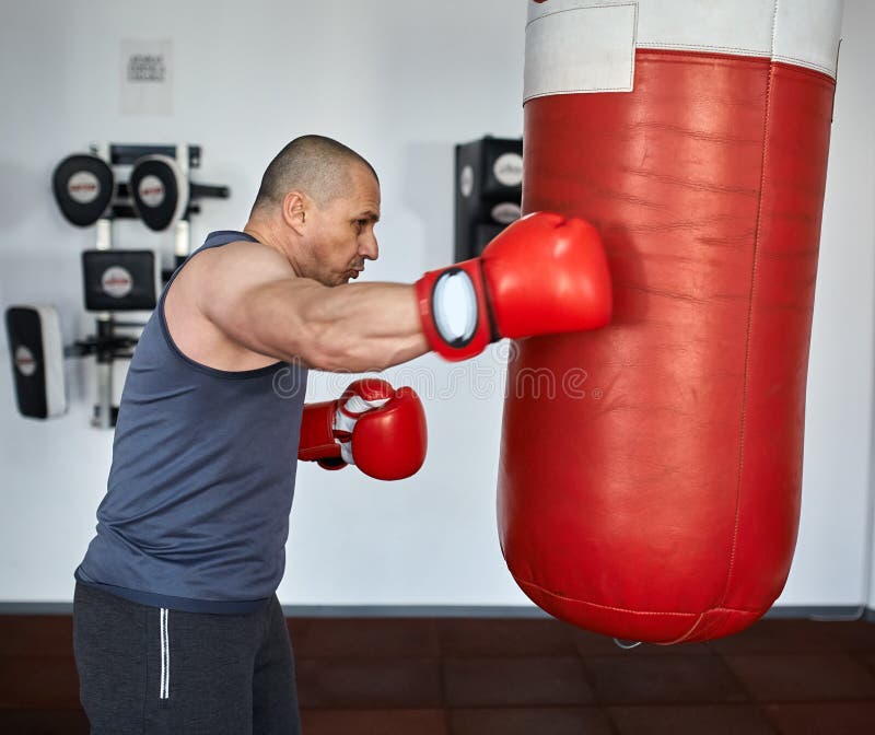 Boxer training in a gym stock photo. Image of male, sport - 85229190