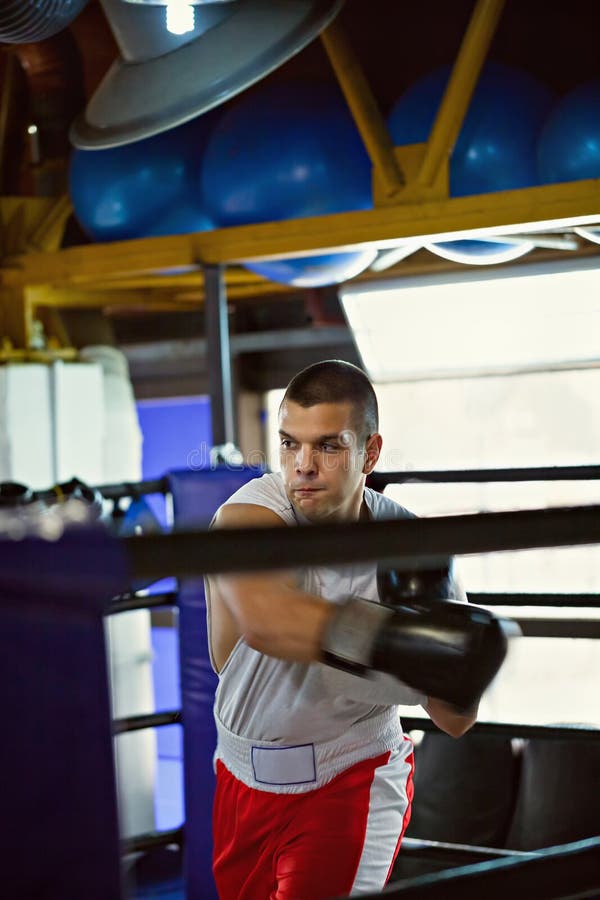Boxer at Training stock photo. Image of care, glove, defense - 46902312