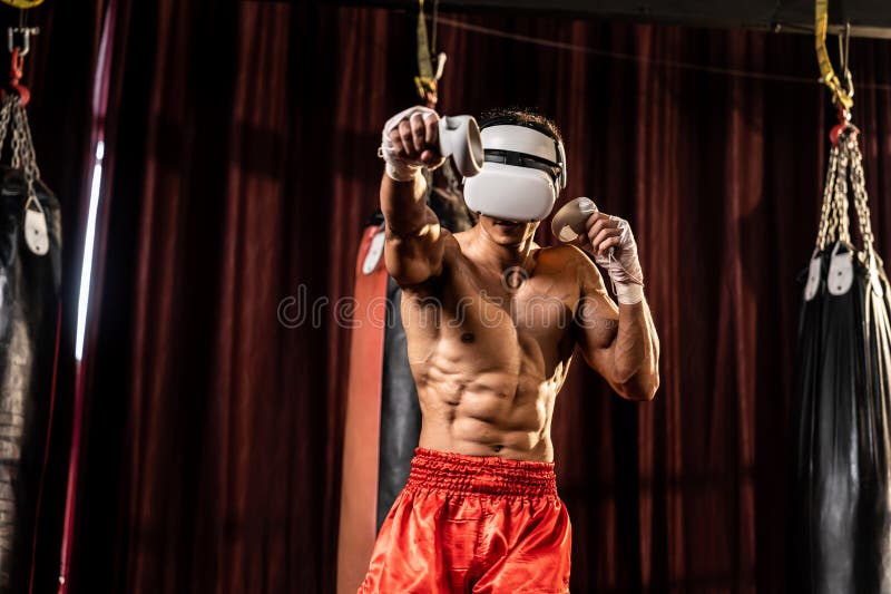 Boxer Training Utilizing VR Technology or Virtual Reality. Impetus ... Boxer Training Utilizing VR Technology or Virtual Reality. Impetus ...