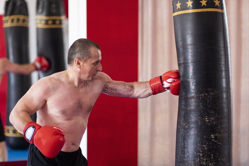 Boxer working stock photo. Image of endurance, improvement - 152993710