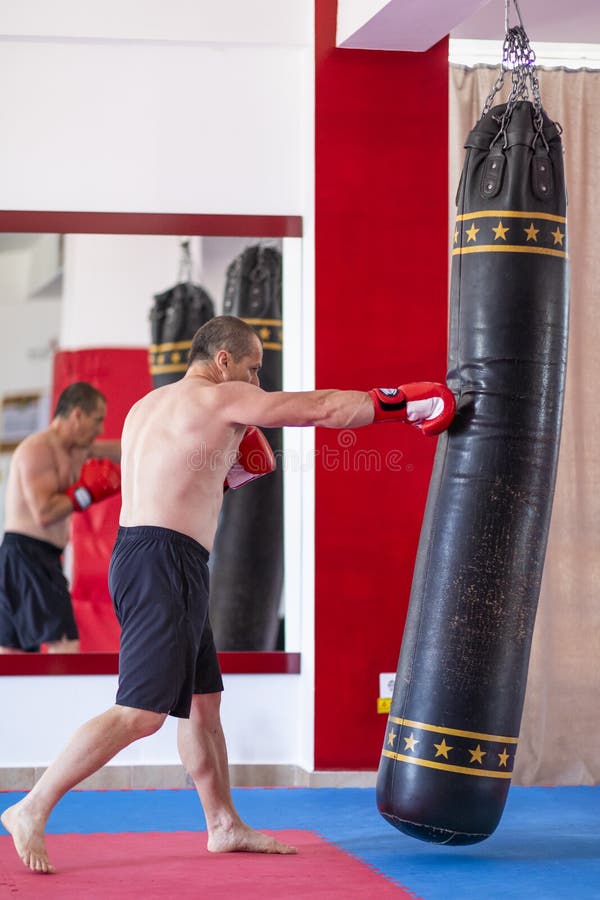 Boxer working stock image. Image of active, sandbag - 152993717
