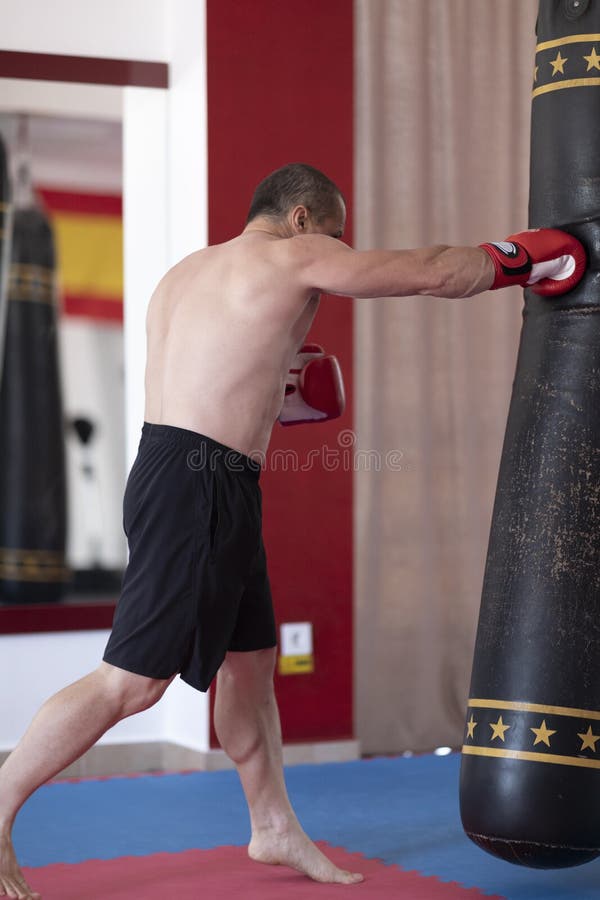 Boxer working stock photo. Image of club, care, muscular - 152993728