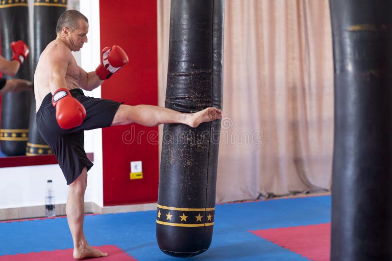 Boxer working stock photo. Image of healthy, fitness - 152993730