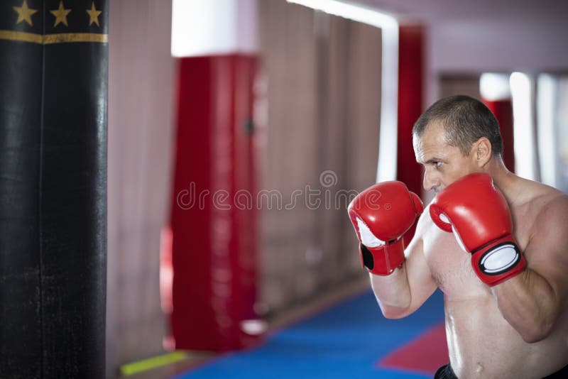 Boxer working stock photo. Image of muscle, adult, club - 152993760