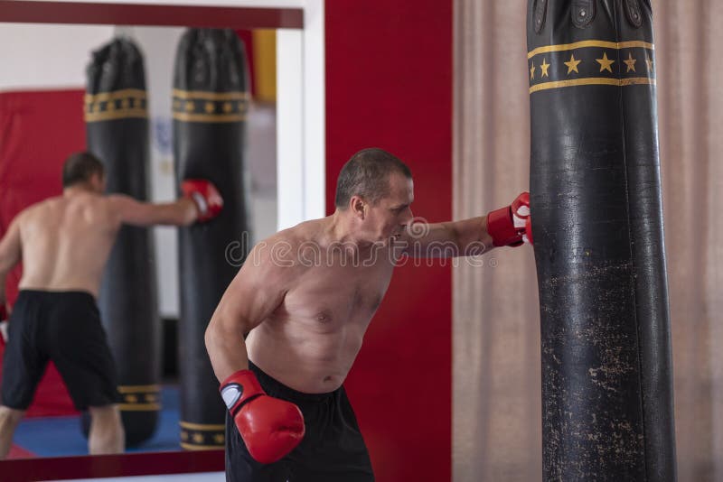 Boxer working stock image. Image of mixedrace, foreground - 152993689
