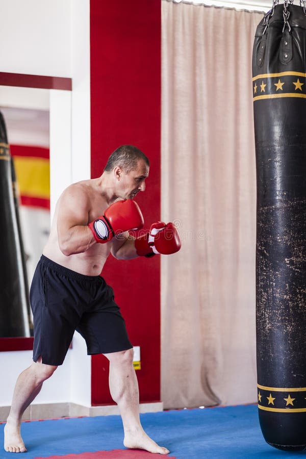 Boxer working stock photo. Image of fitness, heavy, foreground - 152993690