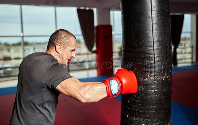 Boxer Working the Heavy Bag Stock Photo - Image of martial, adult ...