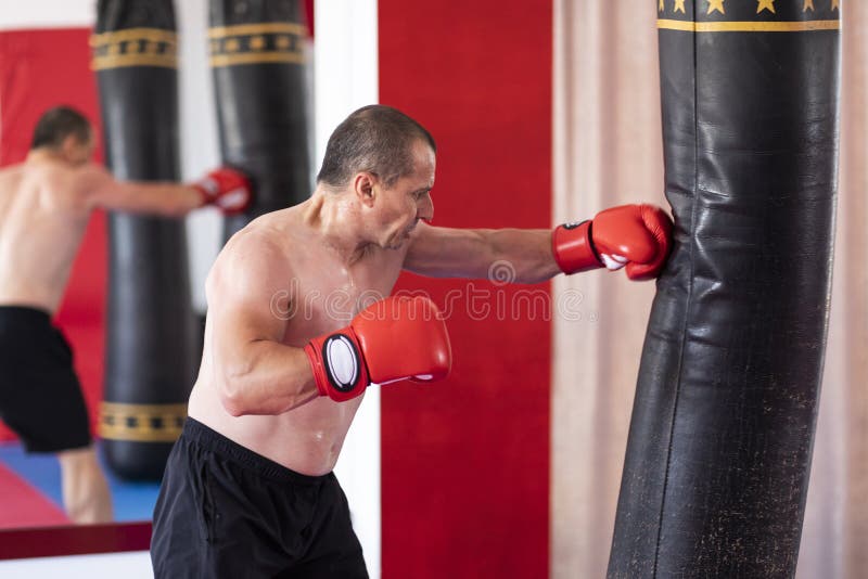 Boxer working stock image. Image of boxer, foreground - 152993713