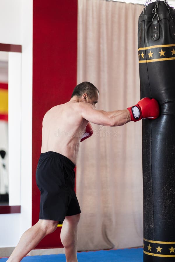 Boxer working stock photo. Image of practice, fitness - 152993716