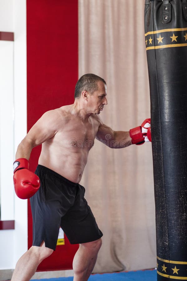 Boxer working stock image. Image of male, healthy, endurance - 152993719