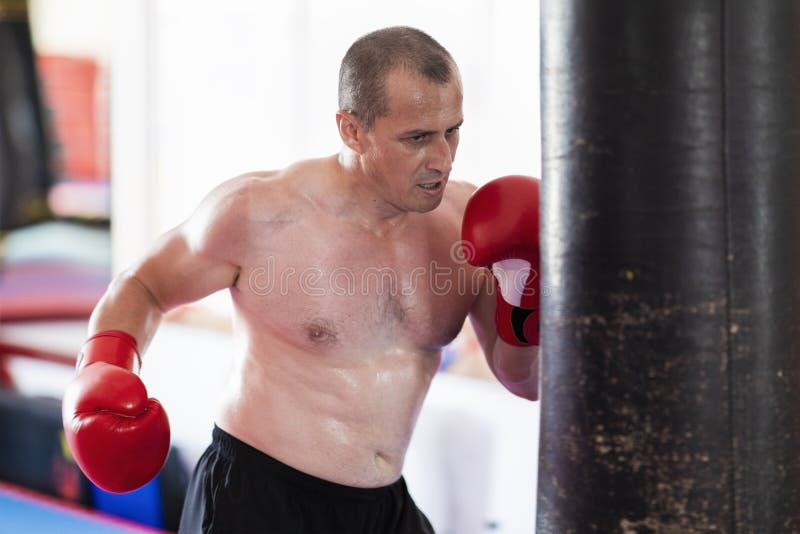 Boxer working stock photo. Image of improvement, lifestyle - 152993740