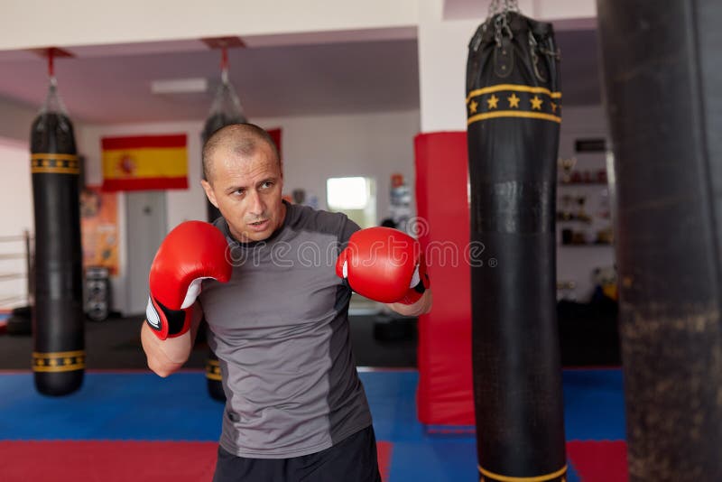 Boxer Working the Heavy Bag Stock Photo - Image of mature, masculine ...