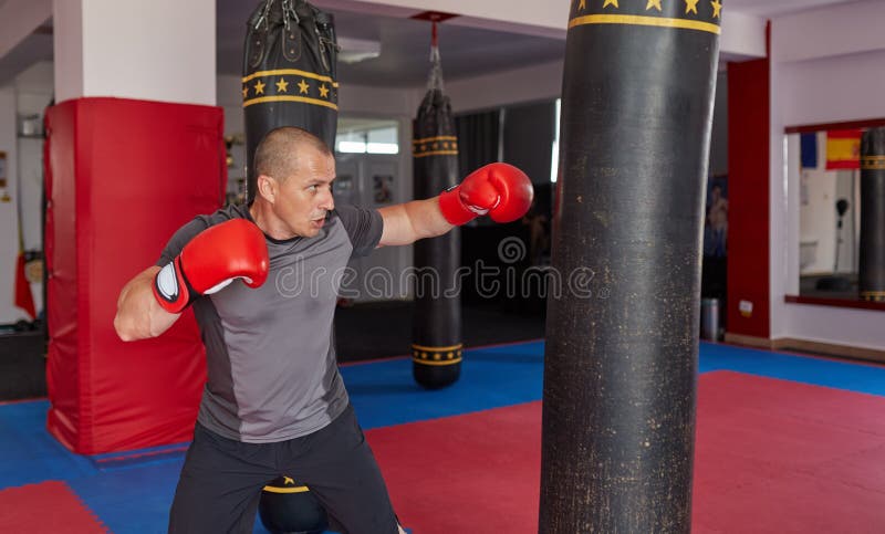 Boxer Working the Heavy Bag Stock Photo - Image of lifestyle, adult ...