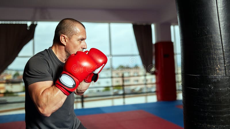 Boxer Working the Heavy Bag Stock Image - Image of boxer, punching ...