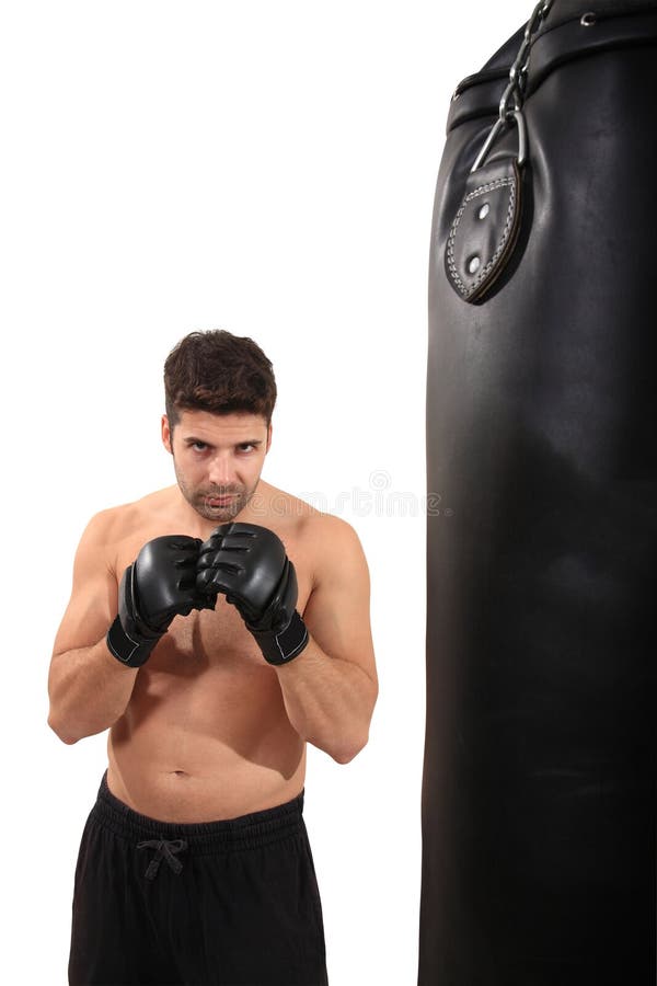 Boxer workout stock image. Image of gloves, fitness, muscular - 23994235