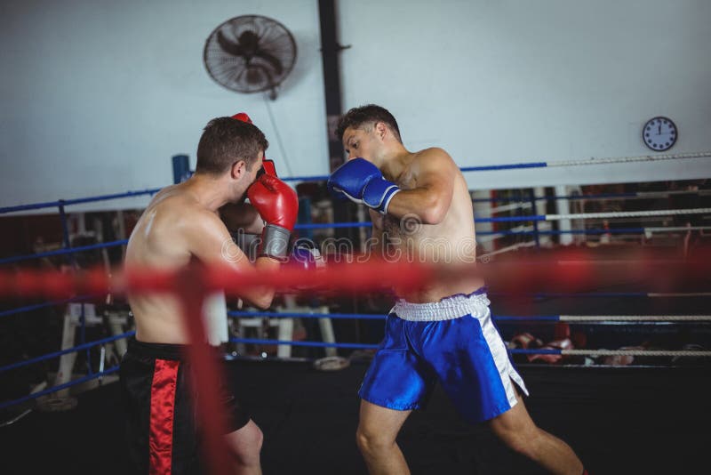 Boxers Fighting in Boxing Ring Stock Photo - Image of lifestyle ...