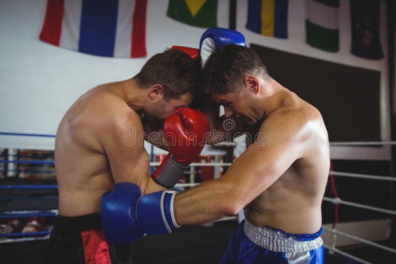 Boxers Fighting in Boxing Ring Stock Photo - Image of glove, active ...
