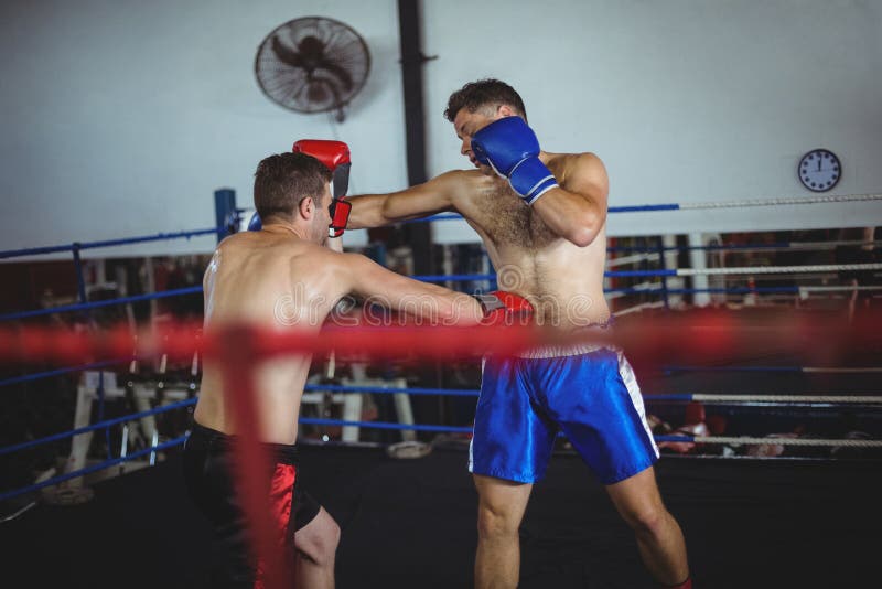 Boxers Fighting in Boxing Ring Stock Image - Image of fighting, gloves ...
