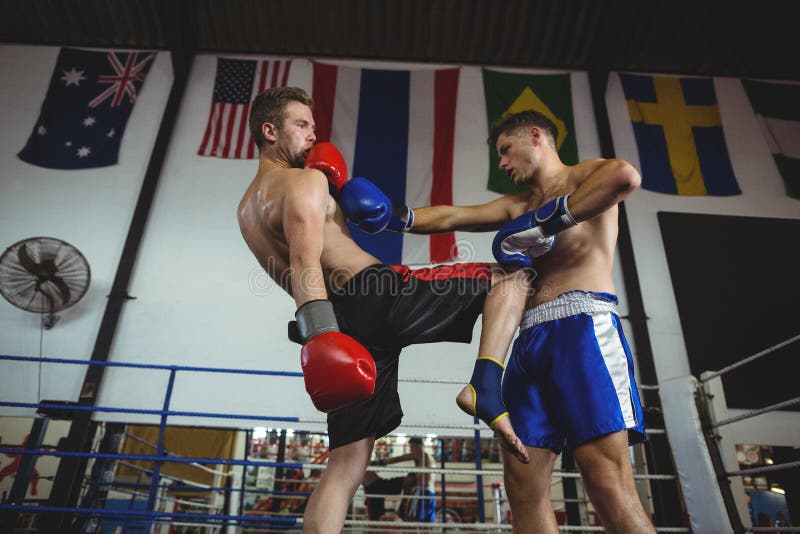 Boxers Fighting in Boxing Ring Stock Image - Image of competition ...