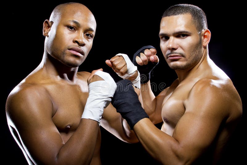 Boxers Posing stock image. Image of masculine, male, fierce - 49899883