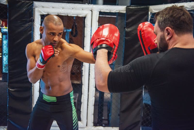 Boxers in the ring stock photo. Image of fighter, adult - 319294950
