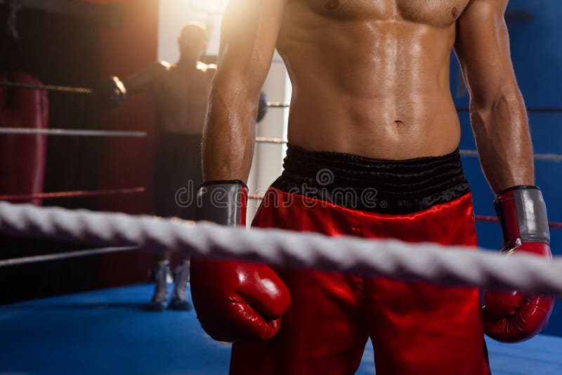 Boxers Standing in Boxing Ring Stock Image - Image of fitness ...