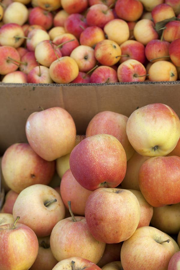 Boxes of apples stock image. Image of fresh, background - 43129959