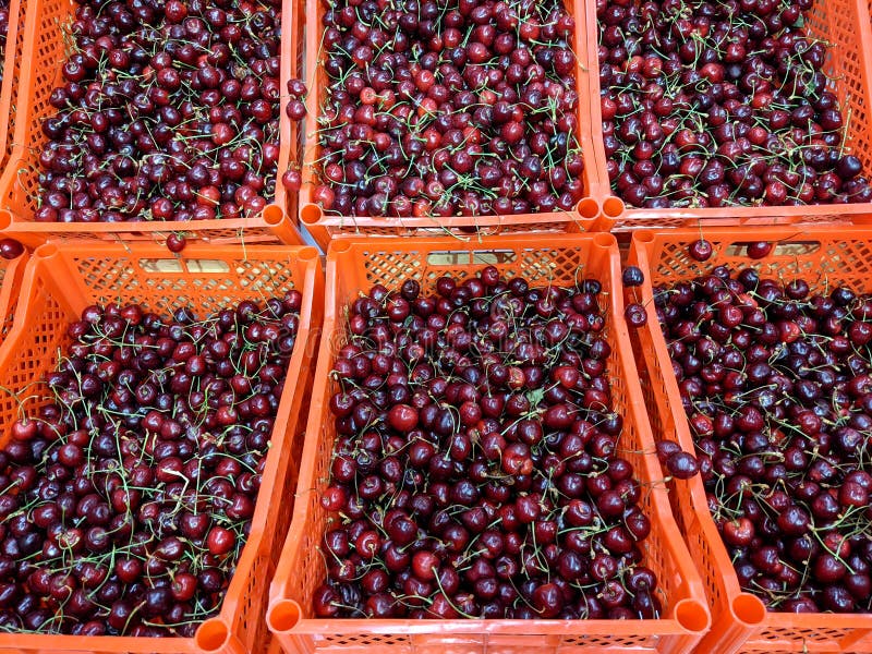 Boxes of Cherries in the Supermarket Stock Photo - Image of eating ...