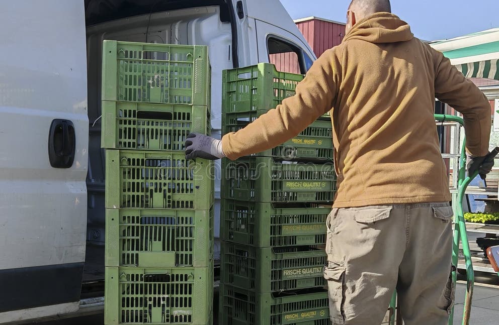 Boxes and Crates for Transport of Vegetables Editorial Image - Image of ...