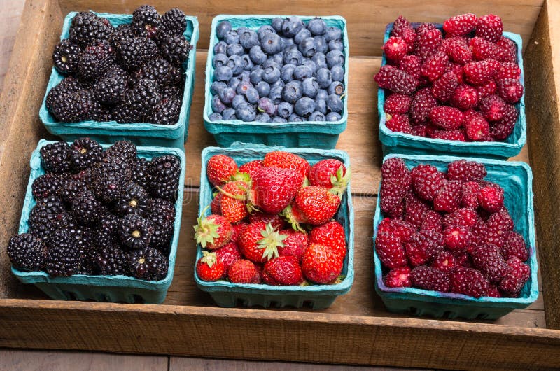 Boxes of Fresh Berries Just Picked at the Market Stock Image - Image of ...