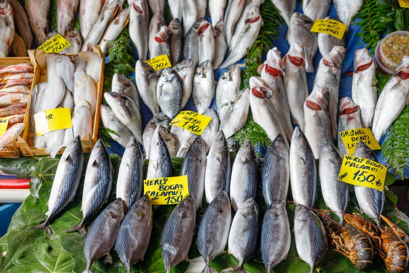 Boxes of Fresh Fish at the Fish Market Stock Photo - Image of freshness ...