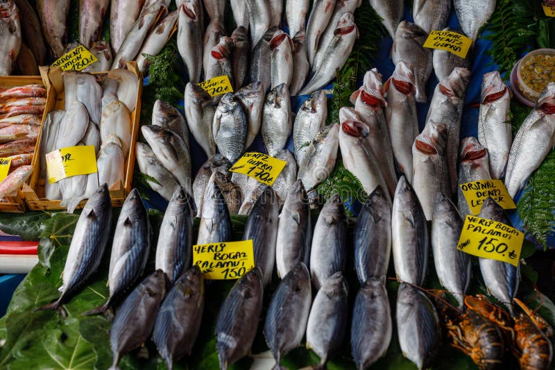 Boxes of Fresh Fish at the Fish Market Stock Photo - Image of ocean ...