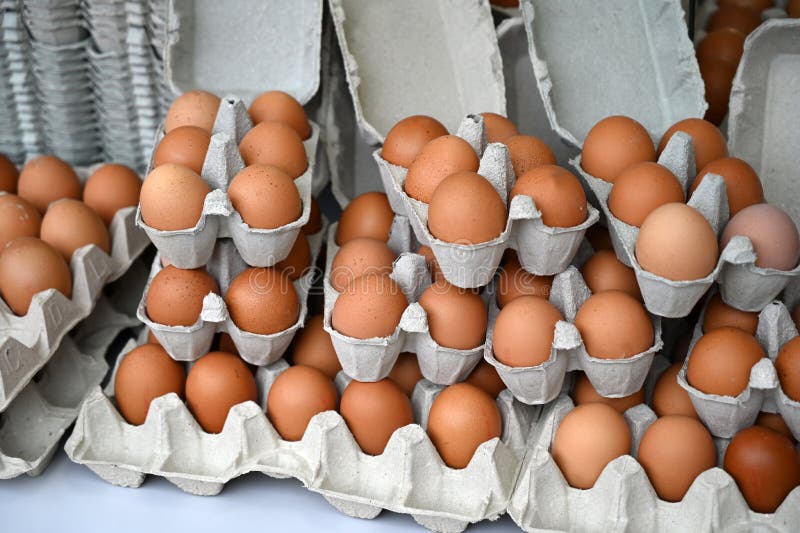 Boxes of Fresh Organic Chicken Eggs Close Up Stock Image - Image of ...