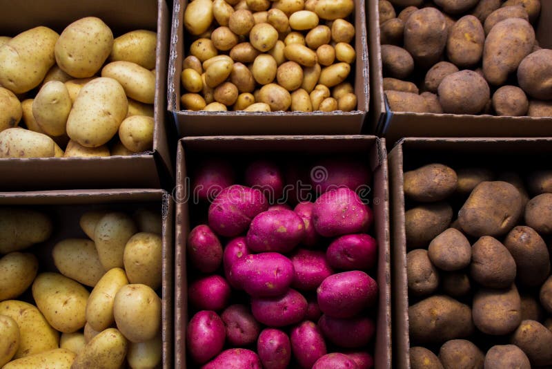 Boxes Full of Different Types of Potatoes Stock Image - Image of ...