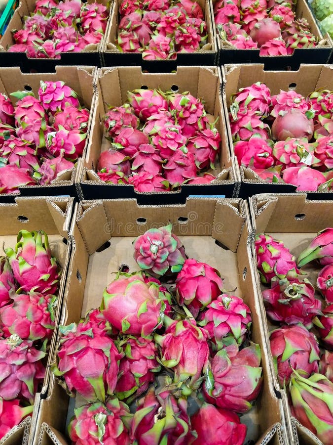 Boxes Full of Pitaya or Dragon Fruit in a Market Stock Image - Image of ...