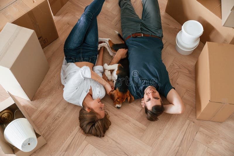 Between Boxes, Lying Down. Young Couple with Dog are Moving To New Home ...