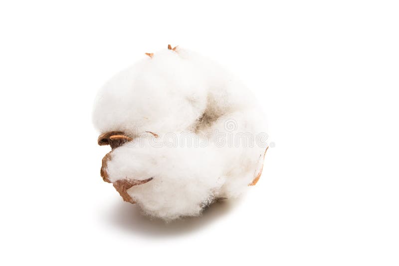 Boxes with natural cotton stock photo. Image of bulk - 108433904