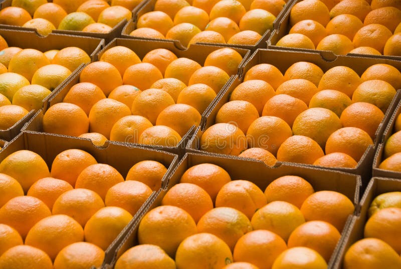 Boxes of Oranges stock image. Image of display, rectangular - 15383729 Boxes of Oranges stock image. Image of display, rectangular - 15383729
