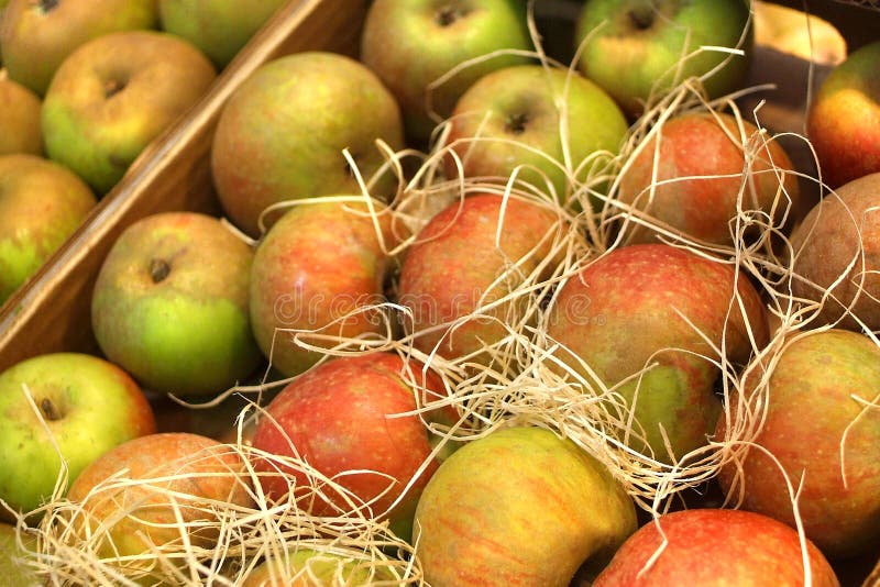 Boxes of Organic Red and Yellow Apples Stock Image - Image of harvest ...