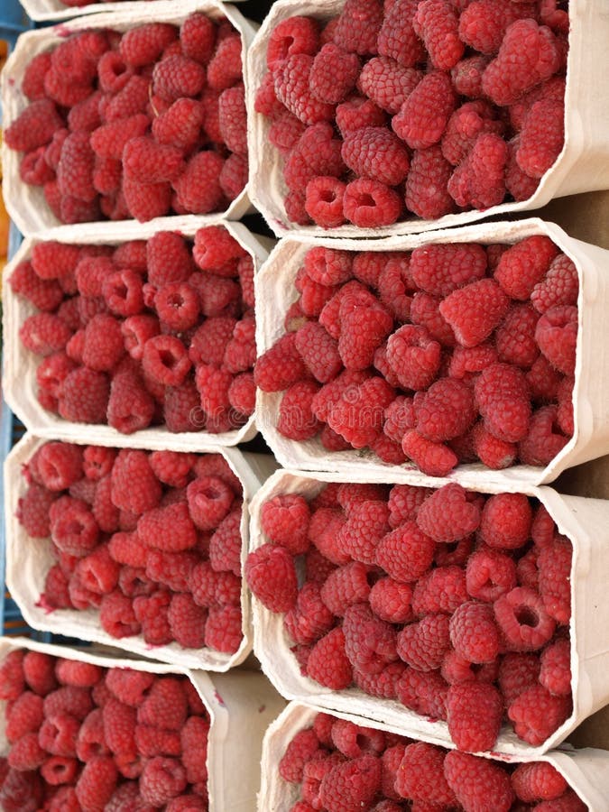 1,262 Fruit Juice Boxes Stock Photos - Free & Royalty-Free Stock Photos ...