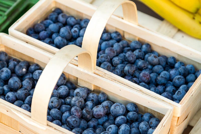 Boxes of ripe blueberries stock photo. Image of freshness - 68976624