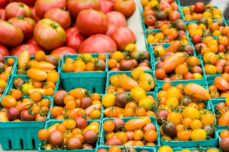 Boxes of Small Tomatoes at the Market Stock Photo - Image of harvest ...